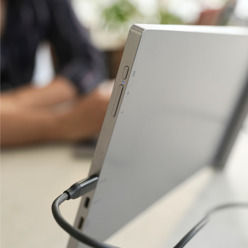 Portable Duo Screen