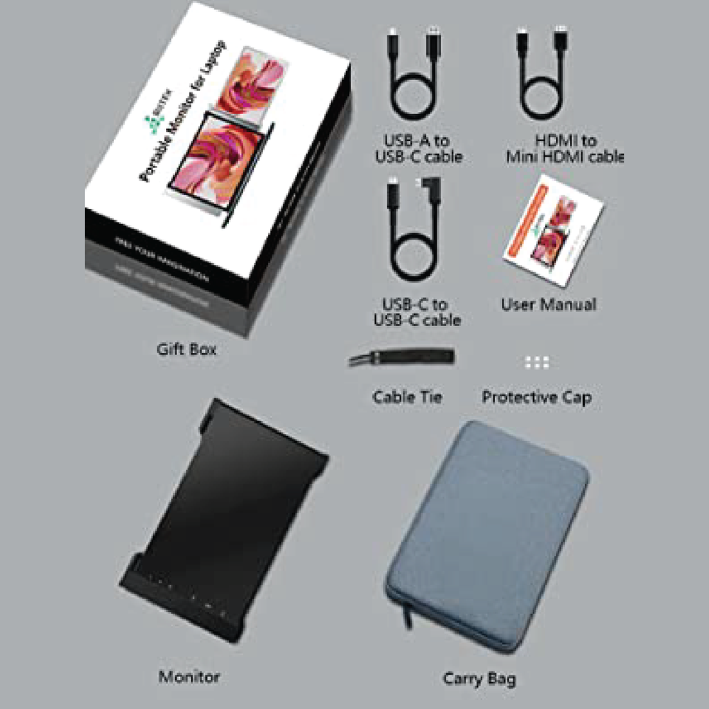 Portable Duo Screen